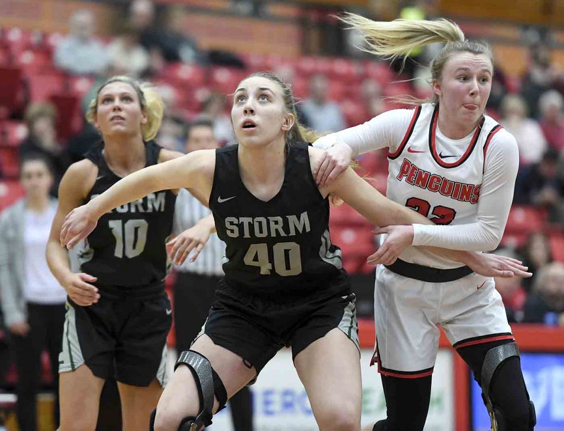 Howland’s Clark is Lake Erie frosh | News, Sports, Jobs - Tribune Chronicle